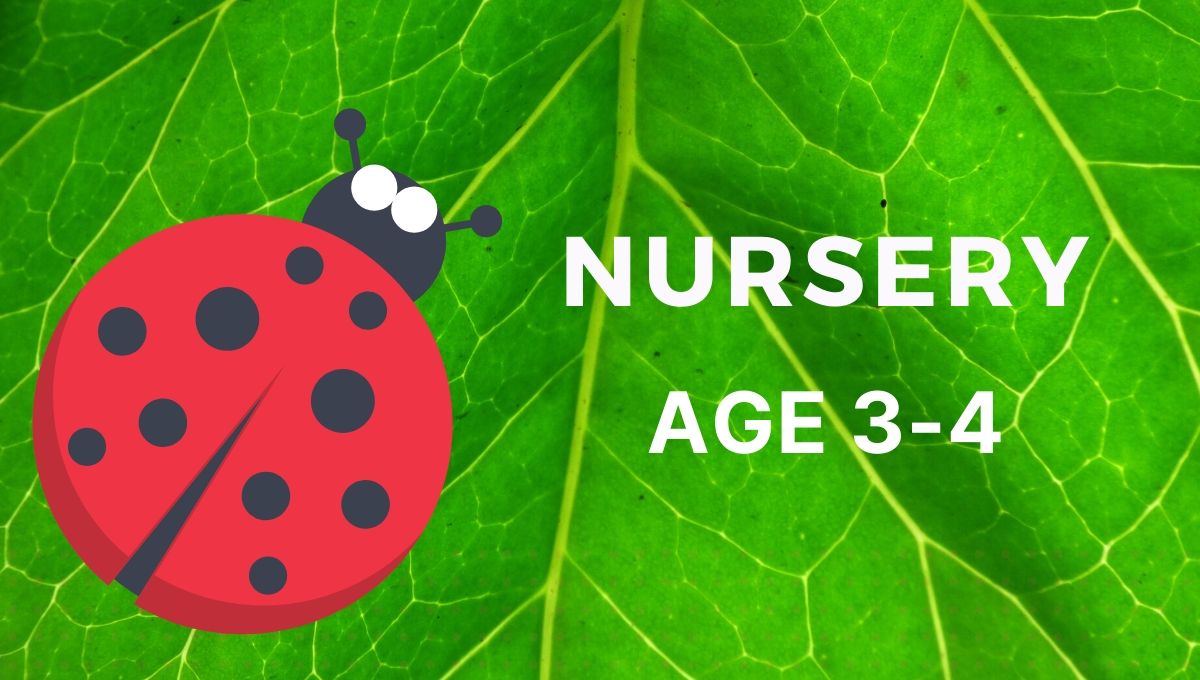 Nursery | Star Worksheets